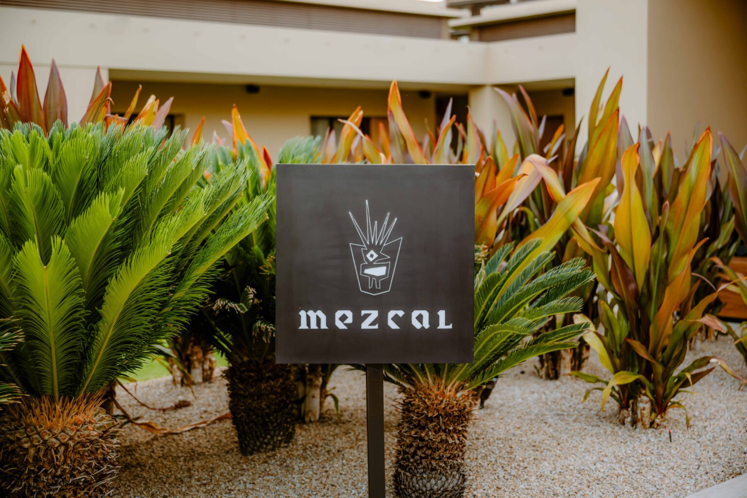 Gourmet Mexican Cuisine in Los Cabos - Mezcal | Montage Los Cabos